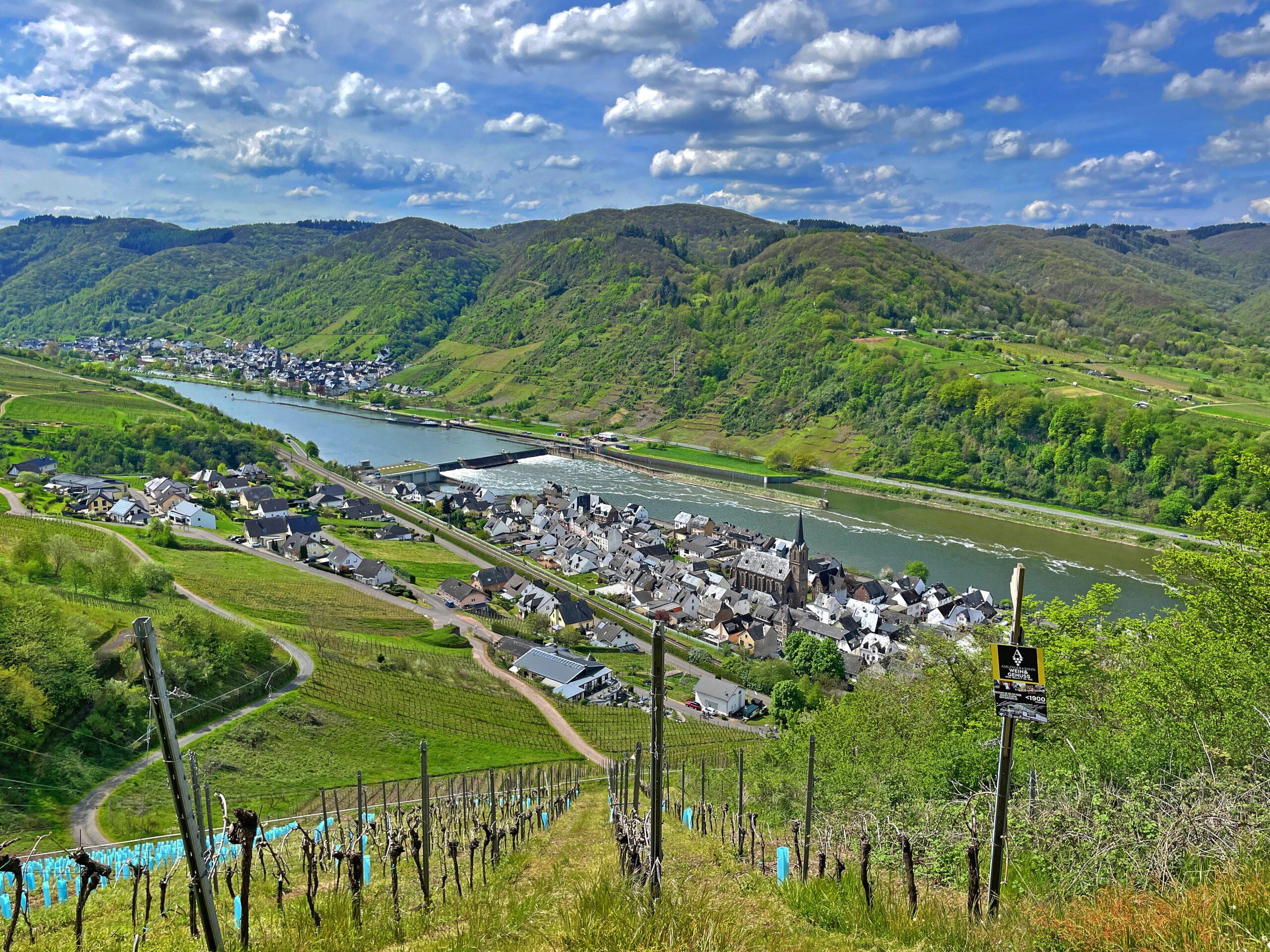 Vandra från Trier till Koblenz längs Moseldalen med EverTrek